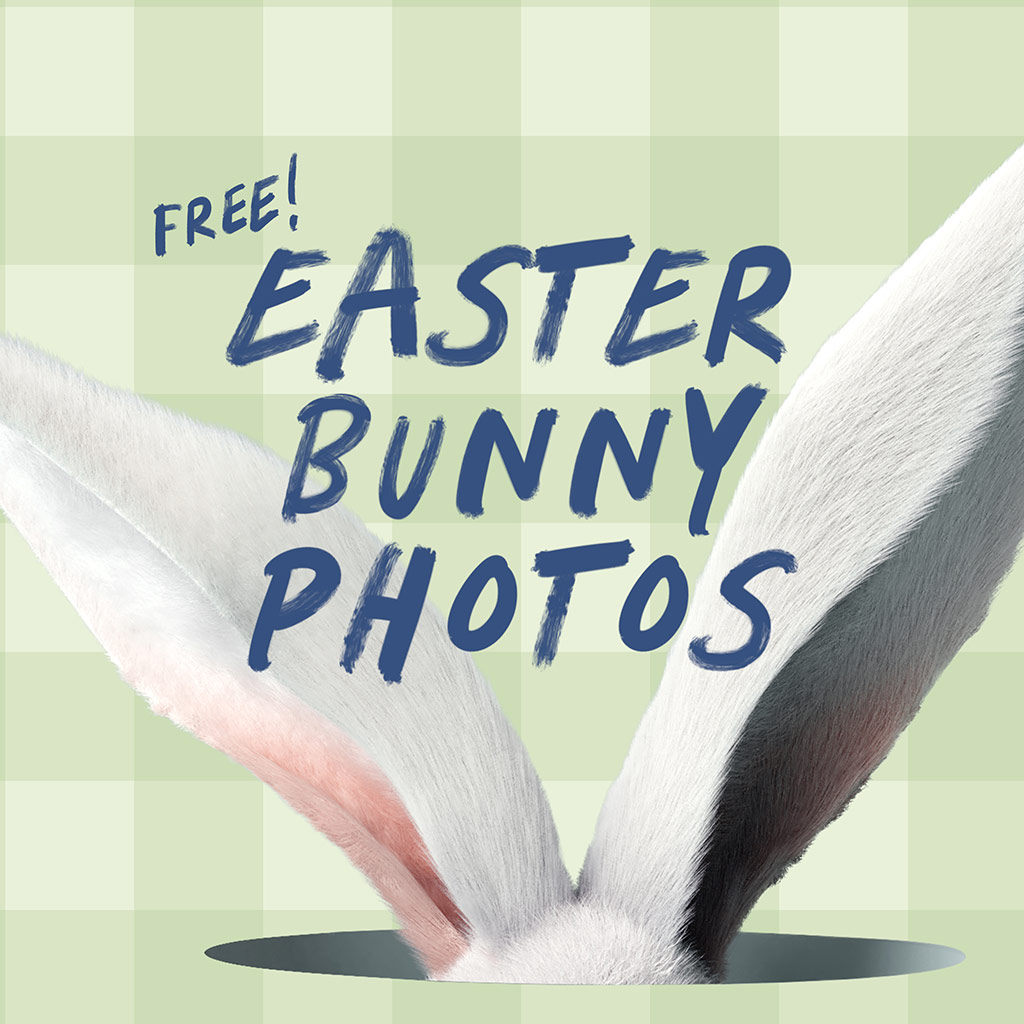 The Shops at Norterra | Official Site | A YAM Properties Lifestyle Center